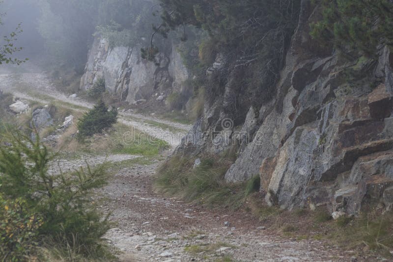 Mountain Dirt Road on the Alps Stock Photo - Image of grass, summer ...