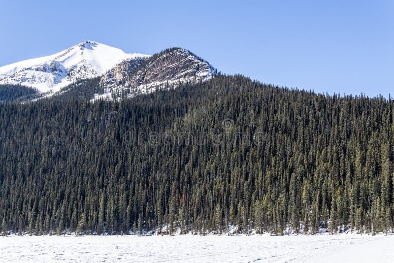 Mountain and Evergreen Forest Early Spring in Alberta Canada Stock ...