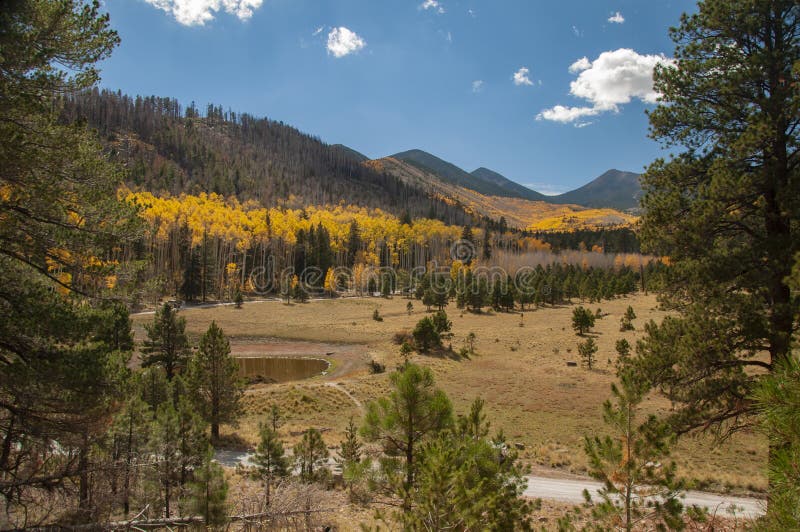 Mountain Fall Meadow with Pond and Forest Stock Photo - Image of autumn ...