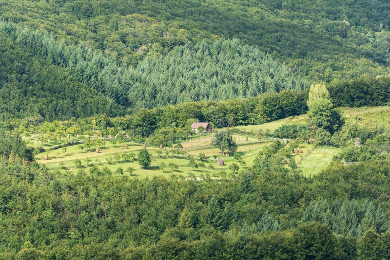 Mountain Farm Land View stock photo. Image of forest - 47548576