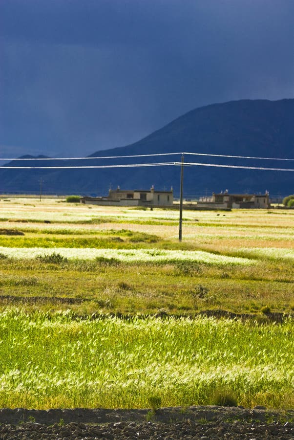 Mountain and Field stock image. Image of line, nature - 4855627