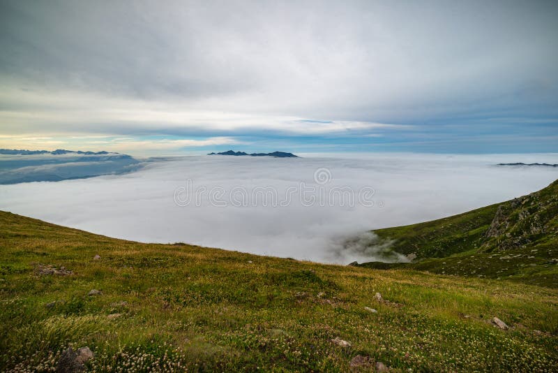 Mountain field in Europe stock image. Image of color - 155007961