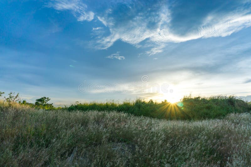 Mountain field stock image. Image of view, outdoor, nature - 98150589