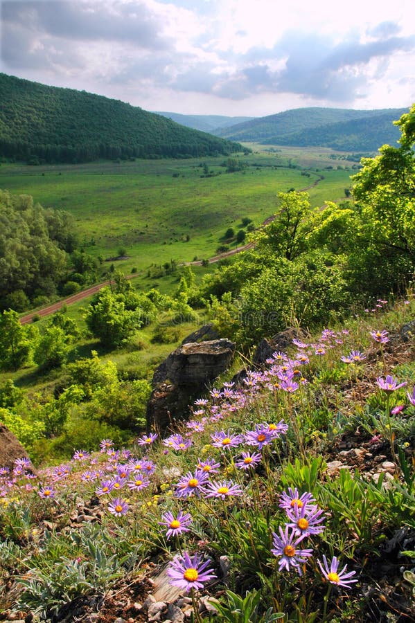 Mountain Flowers and Valley Stock Image - Image of autumn, pink: 1715043