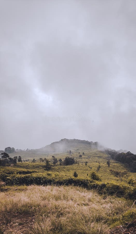 Mountain and Fog are Two Common Things Stock Image - Image of ...