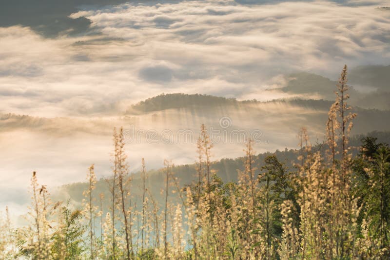 Mountain with Foggy on Ground at Morning Time Stock Photo - Image of ...