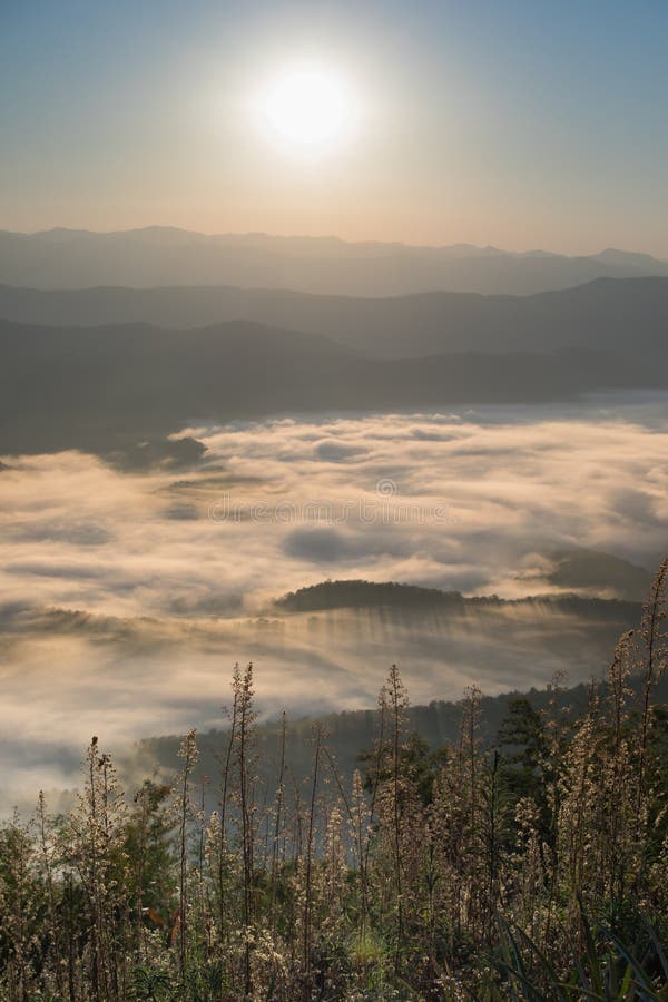 Mountain with Foggy on Ground at Morning Time Stock Photo - Image of ...