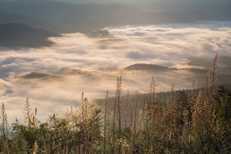 Mountain with Foggy on Ground at Morning Time Stock Image - Image of ...