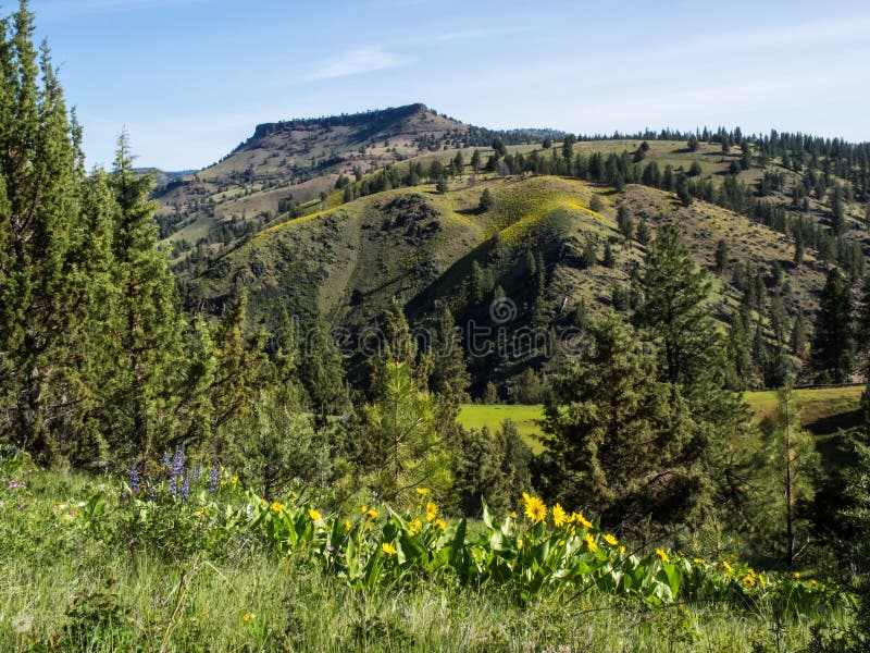 Mountain Foothills in Spring Stock Image - Image of scenic, rolling ...