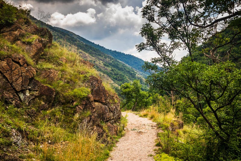 Mountain Footpath through Forest Along the Rocks Stock Image - Image of ...