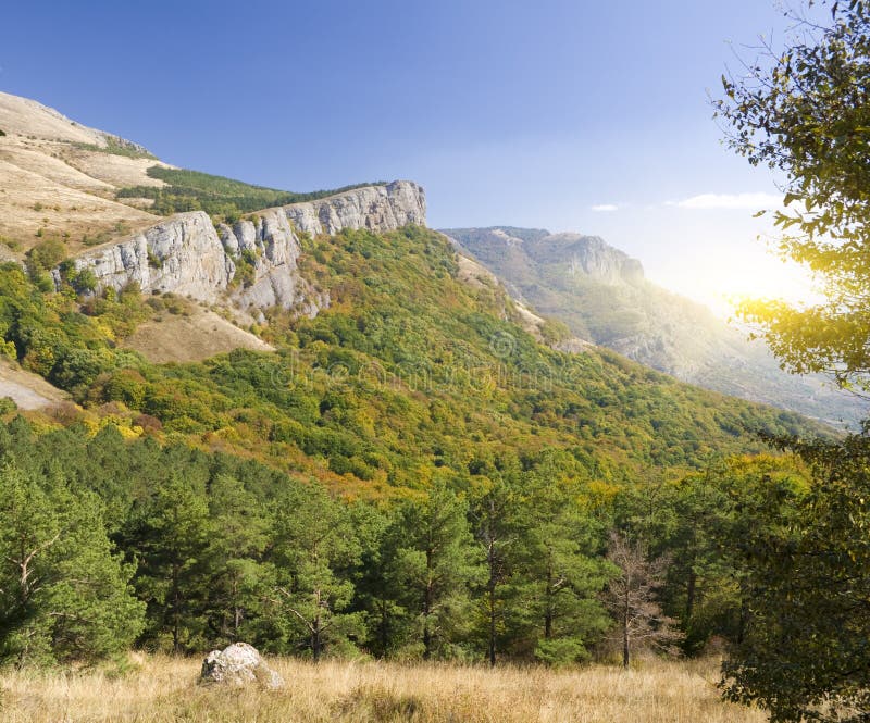 Mountain forest stock image. Image of mountain, field - 21580913