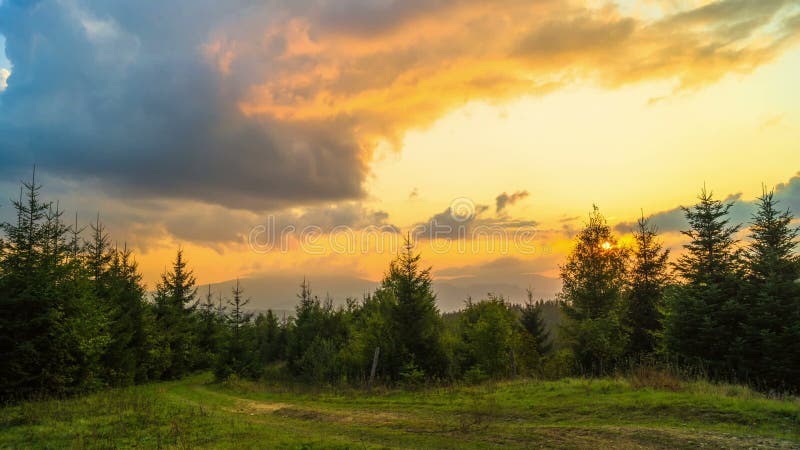 The Mountain Forest on Background of Sunset Stock Footage - Video of ...