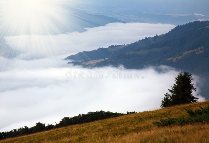 Mountain Forest Covered with Cloud Mist Stock Photo - Image of scenic ...