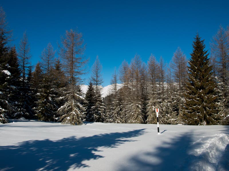 Tourist Marking and the Snow Path at the Edge of a Forest Stock Image ...