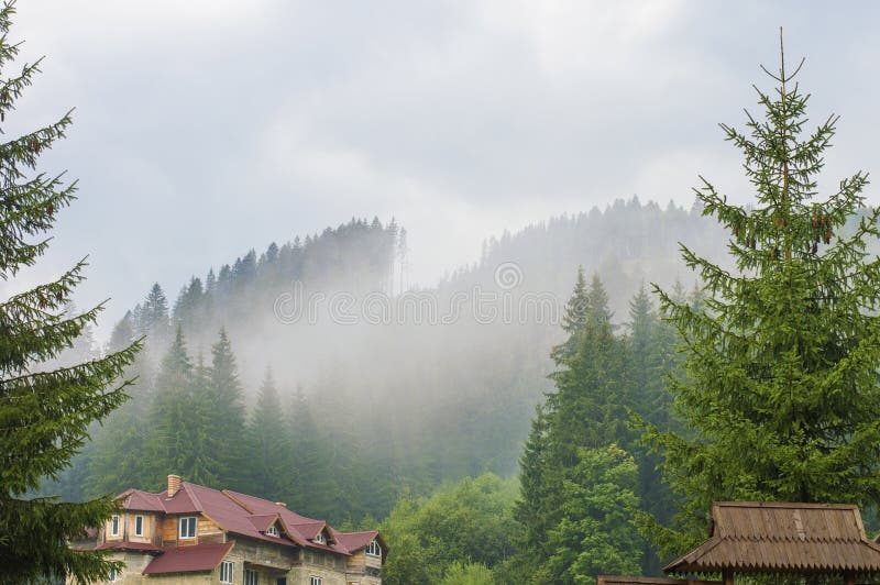 Mountain Forest with Haze on Trees Stock Image - Image of health, dark ...