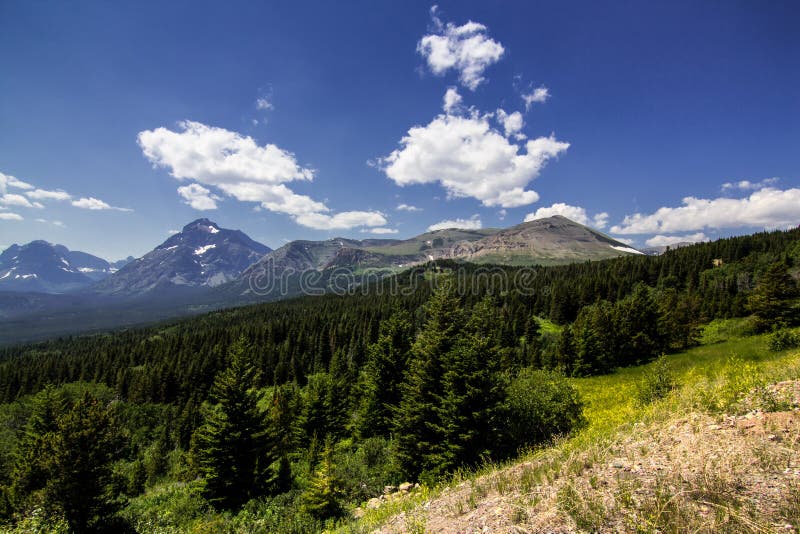 Mountain forest stock image. Image of green, beauty, color - 43084047