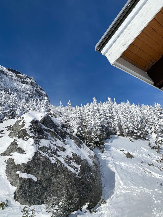 Mountain Forest Landscape Covered in Snow, Vertical Stock Photo - Image ...