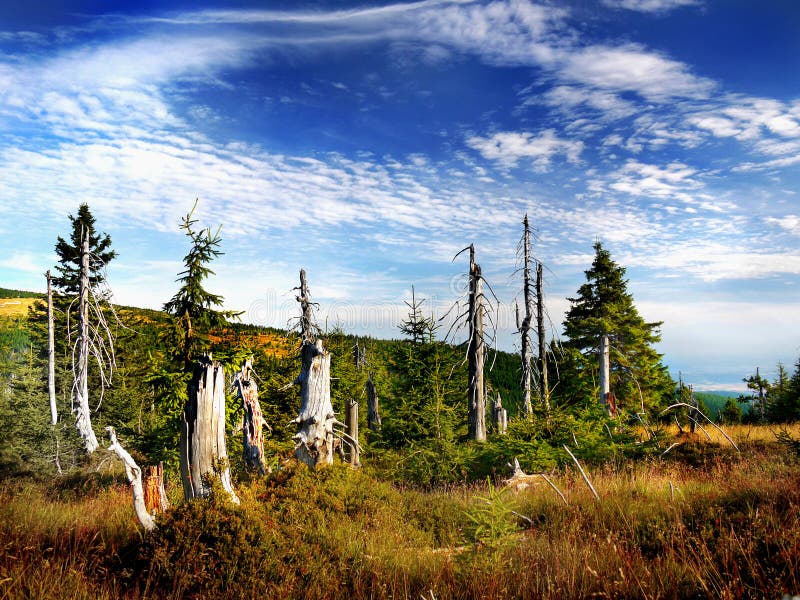 Mountain Forest Meadow Summer Scenic Sky Stock Image - Image of clouds ...