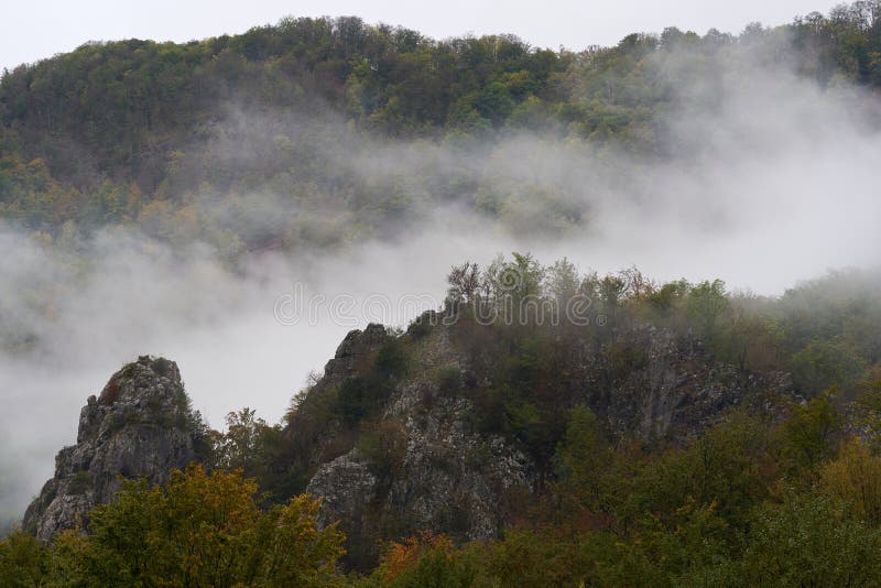 Mountain Forest in the Mist Stock Photo - Image of cloudscape, mist ...