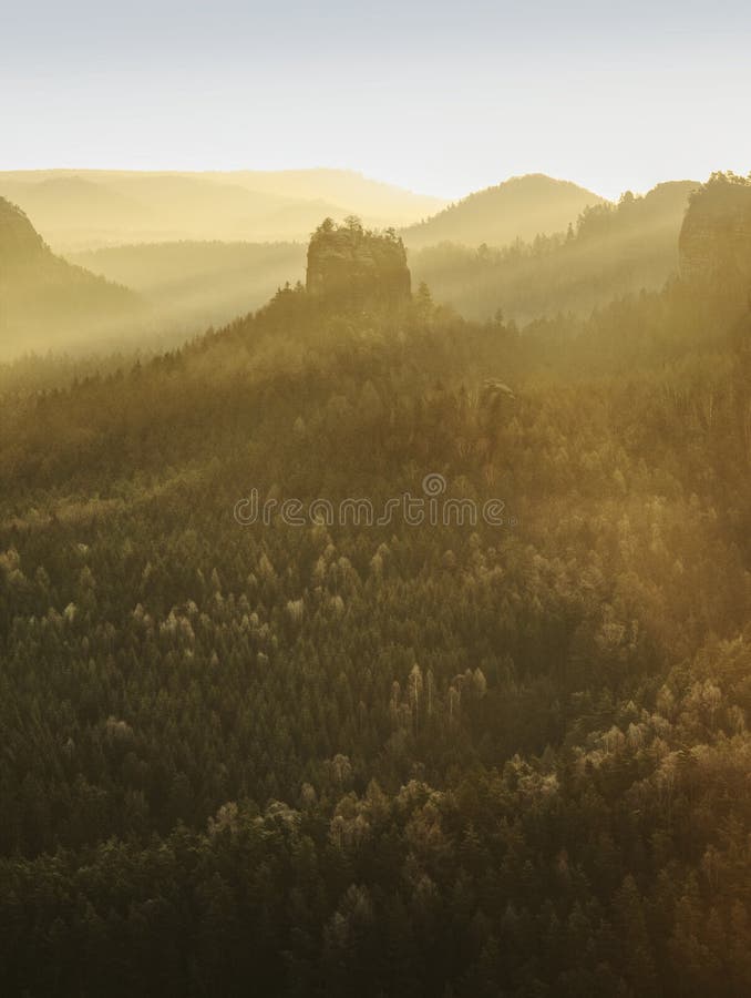 Mountain Forest in Misty Clouds. Hilly Forest Land Stock Image - Image ...