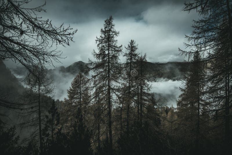 Mountain Forest Moody Landscape Cinematic Look Image Stock Image ...