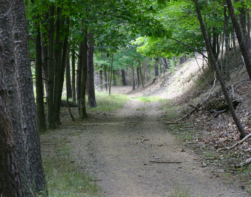 Mountain Forest Path or Trail Stock Photo - Image of woods, trail: 990986