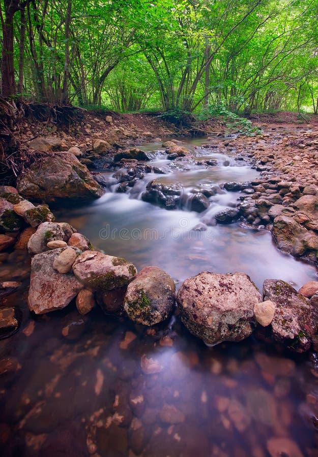 Mountain forest river stock photo. Image of creek, photographs - 24761148