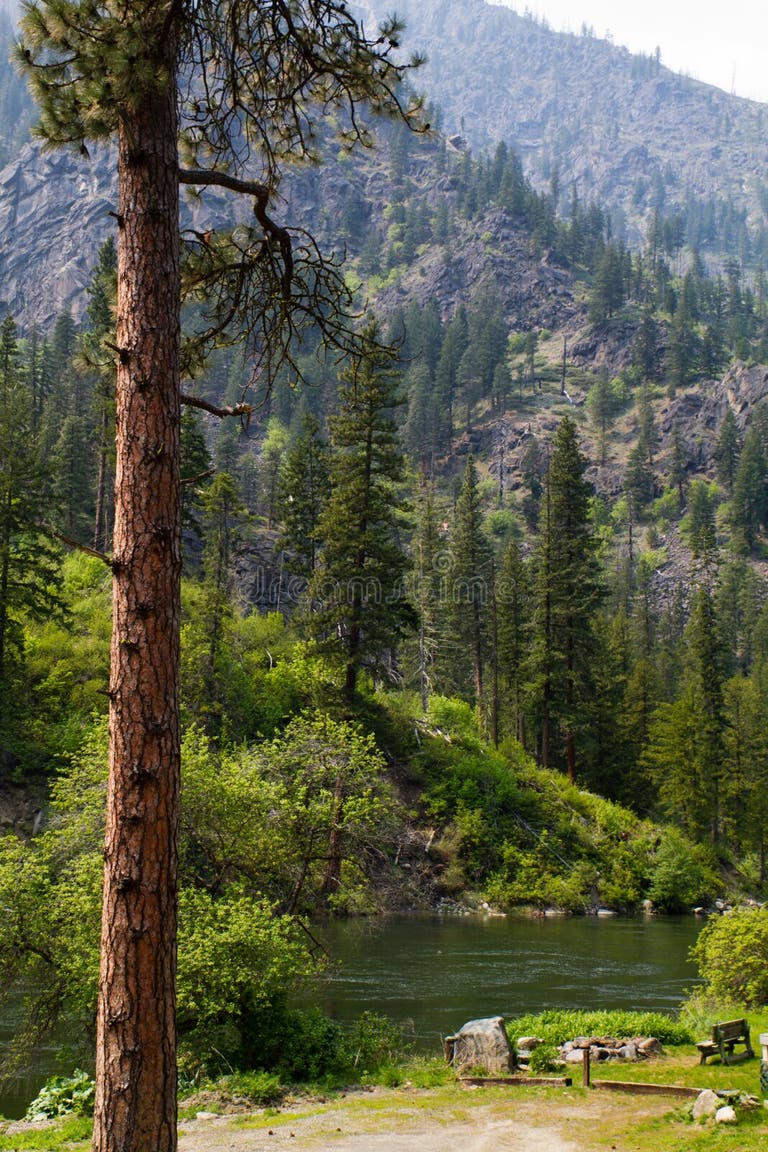 3,400+ Forest landscape mountain river Free Stock Photos - StockFreeImages