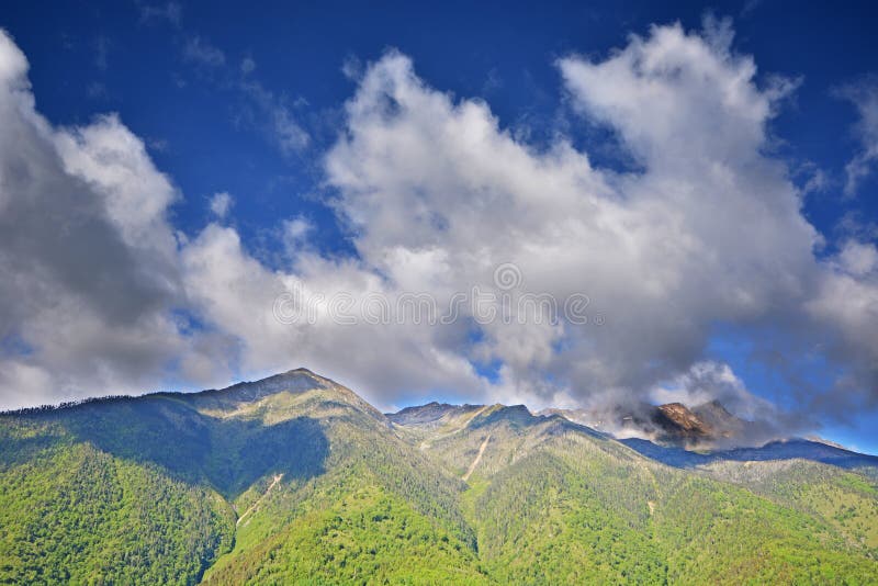 Mountain forest scene stock image. Image of mist, environment - 66817603