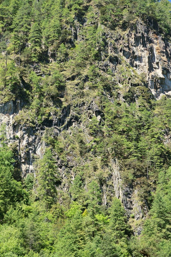 Mountain forest stock image. Image of dense, escarpment - 33100337