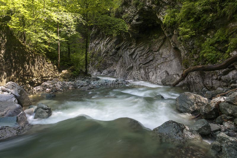Mountain Forest Stream with Fast Flowing Water and Rocks, Long Exposure ...