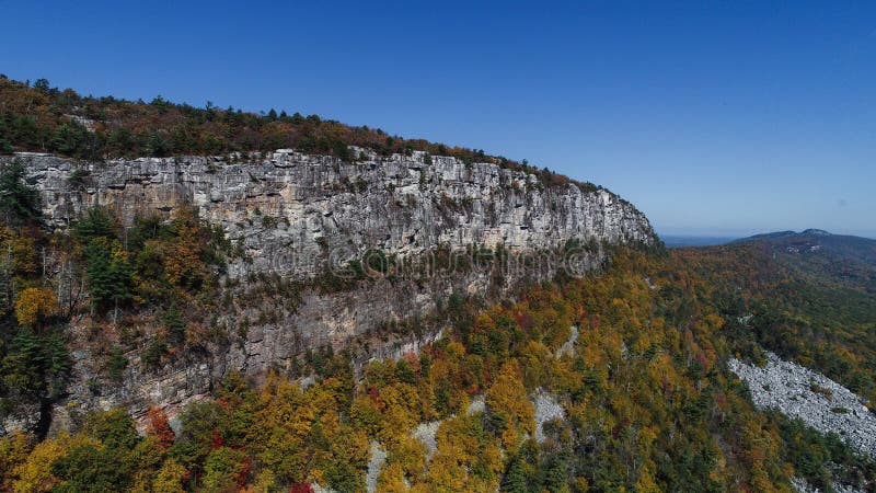 Mountain Forest Trees Top View Landscape in Autumn. Stock Photo - Image ...