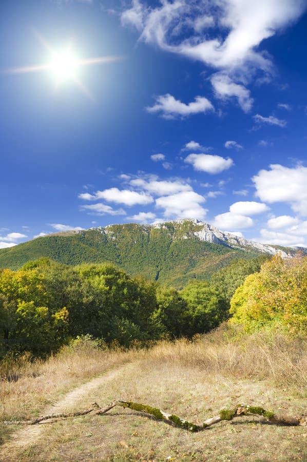 Mountain Forest Under Blue Sky. Stock Image - Image of flower, cloudy ...