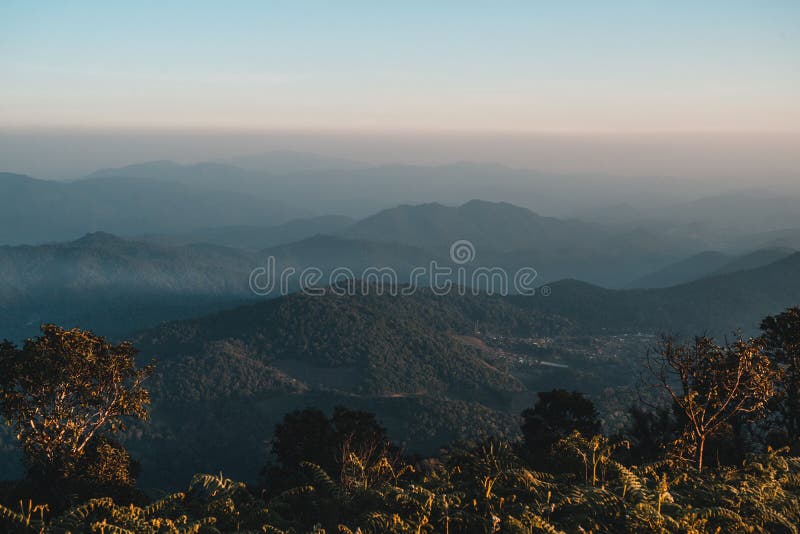 Mountain Forest View in the Evening Stock Photo - Image of mountain ...