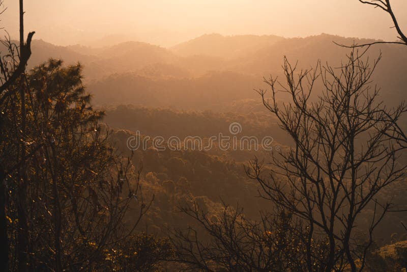 Mountain Forest View in the Evening Stock Photo - Image of background ...