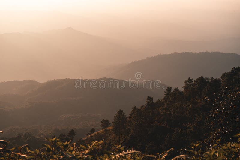 Mountain Forest View in the Evening Stock Image - Image of nature ...