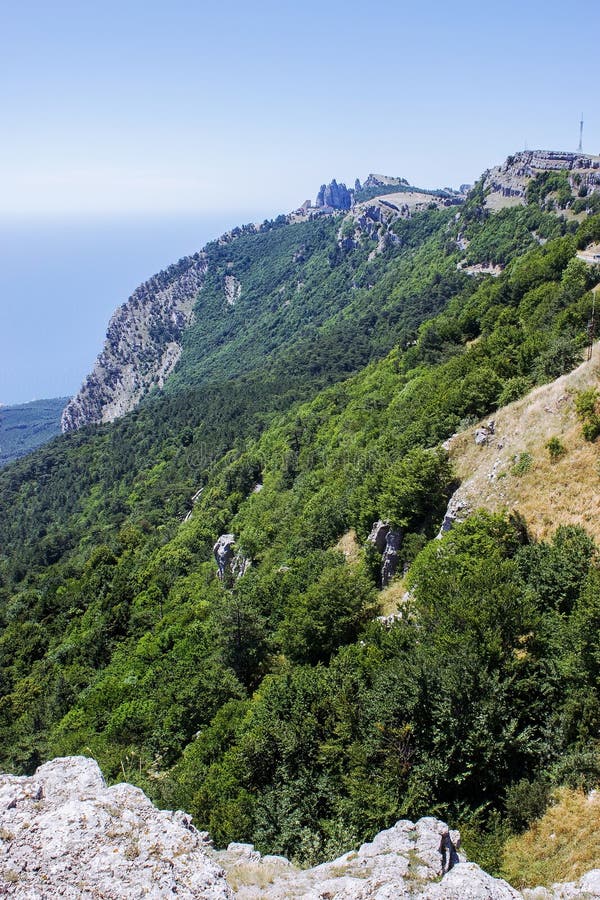 Mountain forest stock image. Image of nature, stone, range - 50616455