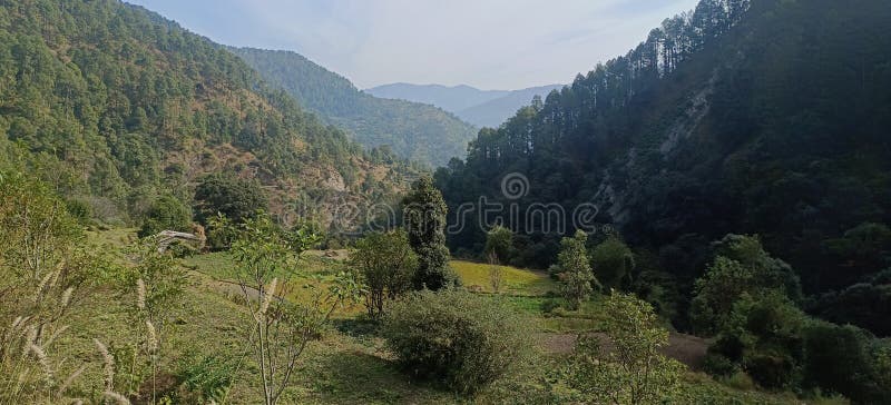 Mountain Forest View Velly stock photo. Image of velly - 362664102