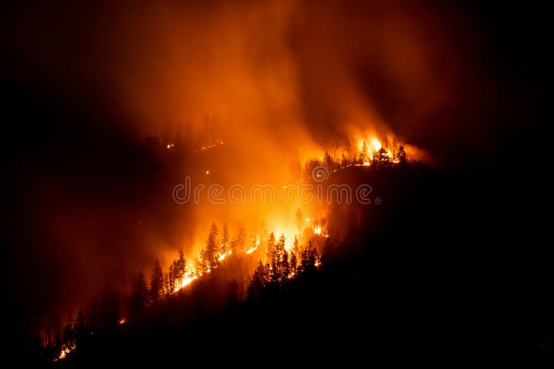 Mountain Forest Wildfire at Night Stock Photo - Image of change, engulf ...