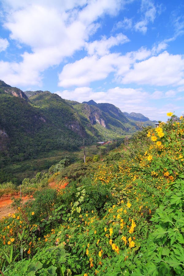 Mountain Forests with Color Stock Image - Image of cloud, countryside ...