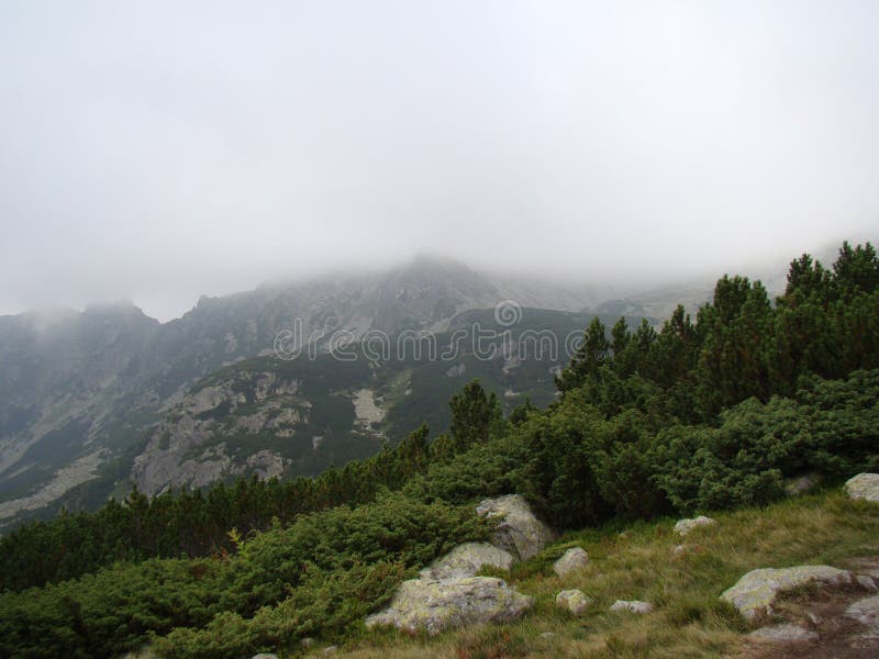 Mountain Forrest stock photo. Image of mountain, mountains - 45668408