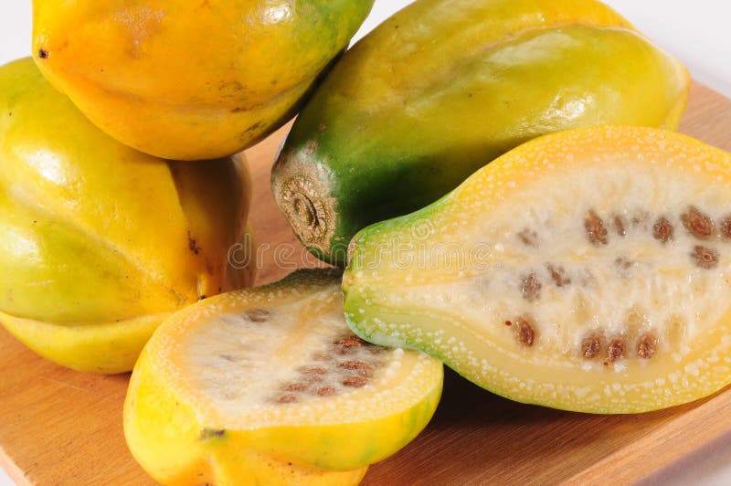 Mountain fruit. Guava stock image. Image of seed, colombian - 12087105