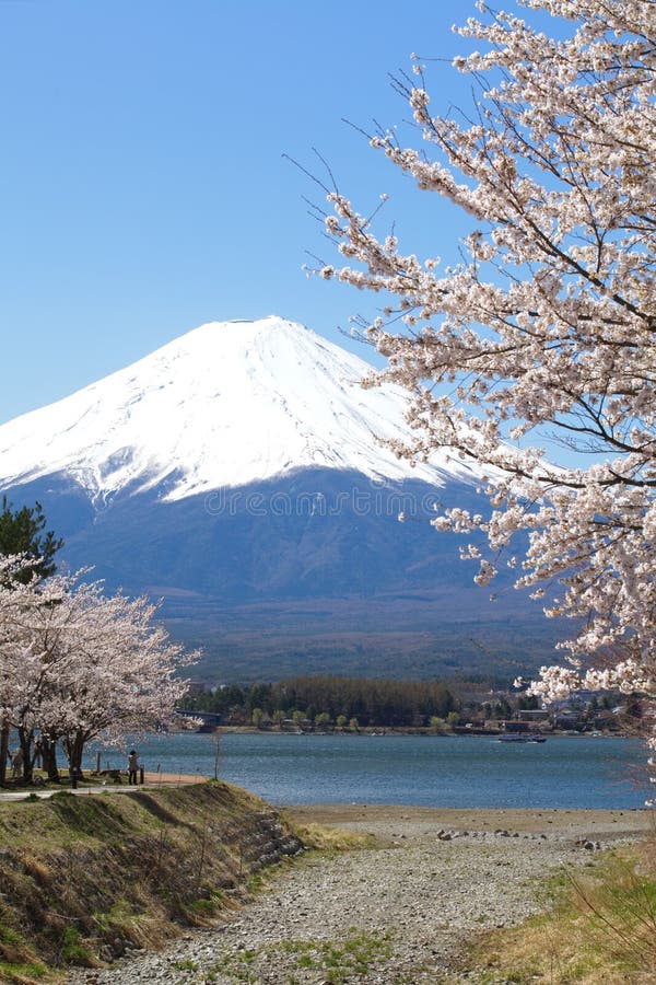 Mount Fuji XI stock image. Image of mountain, harvest - 1964555