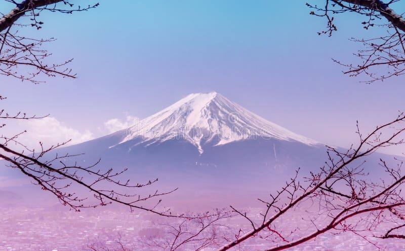 Mountain Fuji in Winter Framed by Dry Tree in Pink Color Stock Image ...
