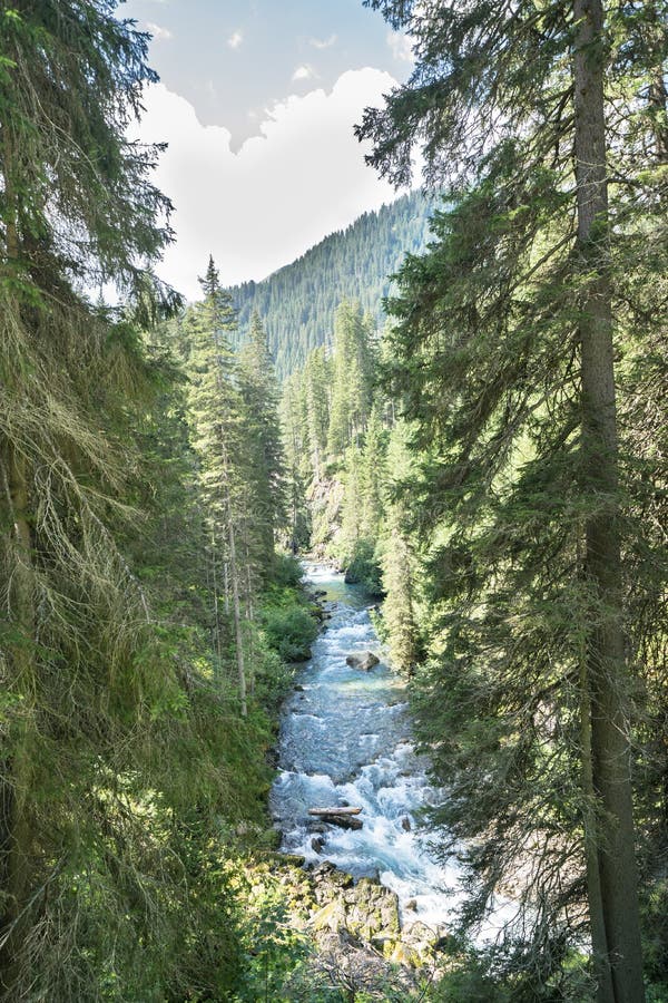 Mountain Full-flowing River Stock Image - Image of pines, stanton ...