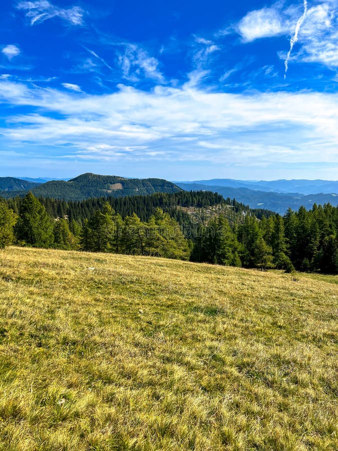 Mountain Glade Against the Backdrop of an Alpine Forest and Blue Sky ...