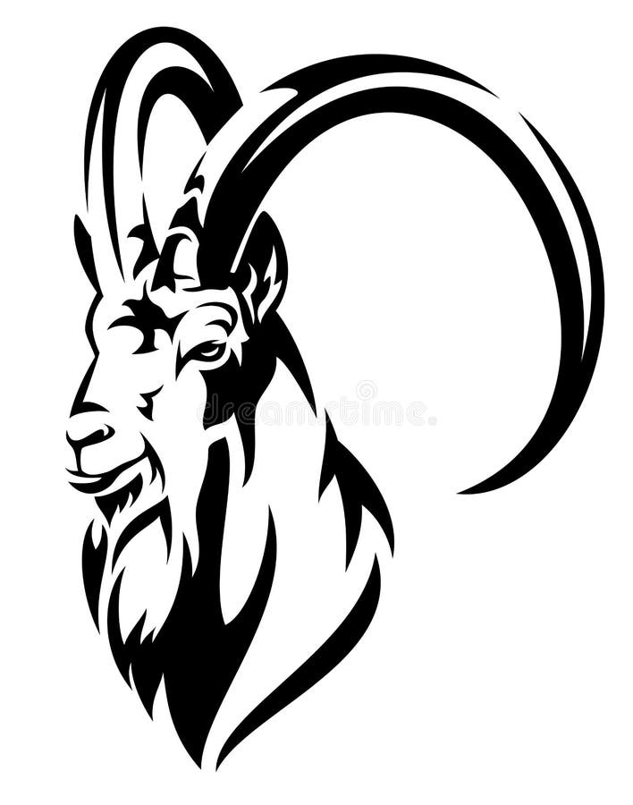 Mountain goat vector stock vector. Illustration of design - 36944779 Mountain goat vector stock vector. Illustration of design - 36944779