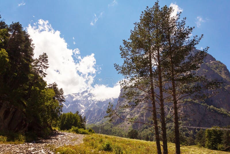 In a Mountain Gorge in the Caucasus Stock Image - Image of forest ...