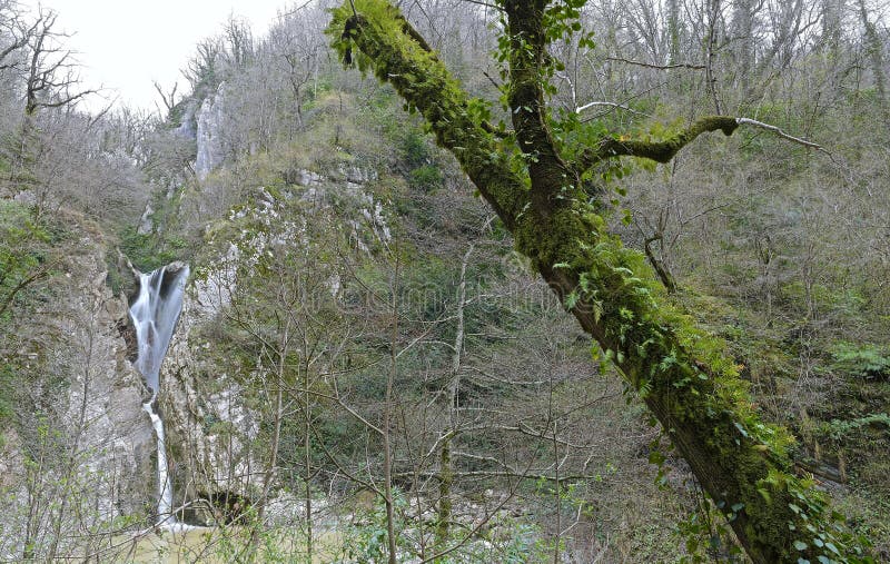 Waterfall in a Mountain Forest in Early Spring Stock Image - Image of ...