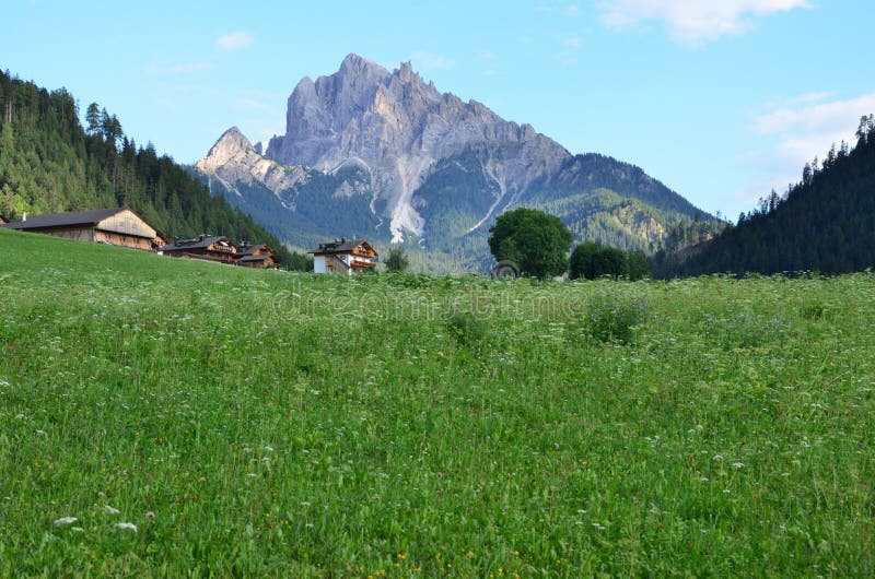 Mountain grass stock photo. Image of forest, stone, mountains - 198709736